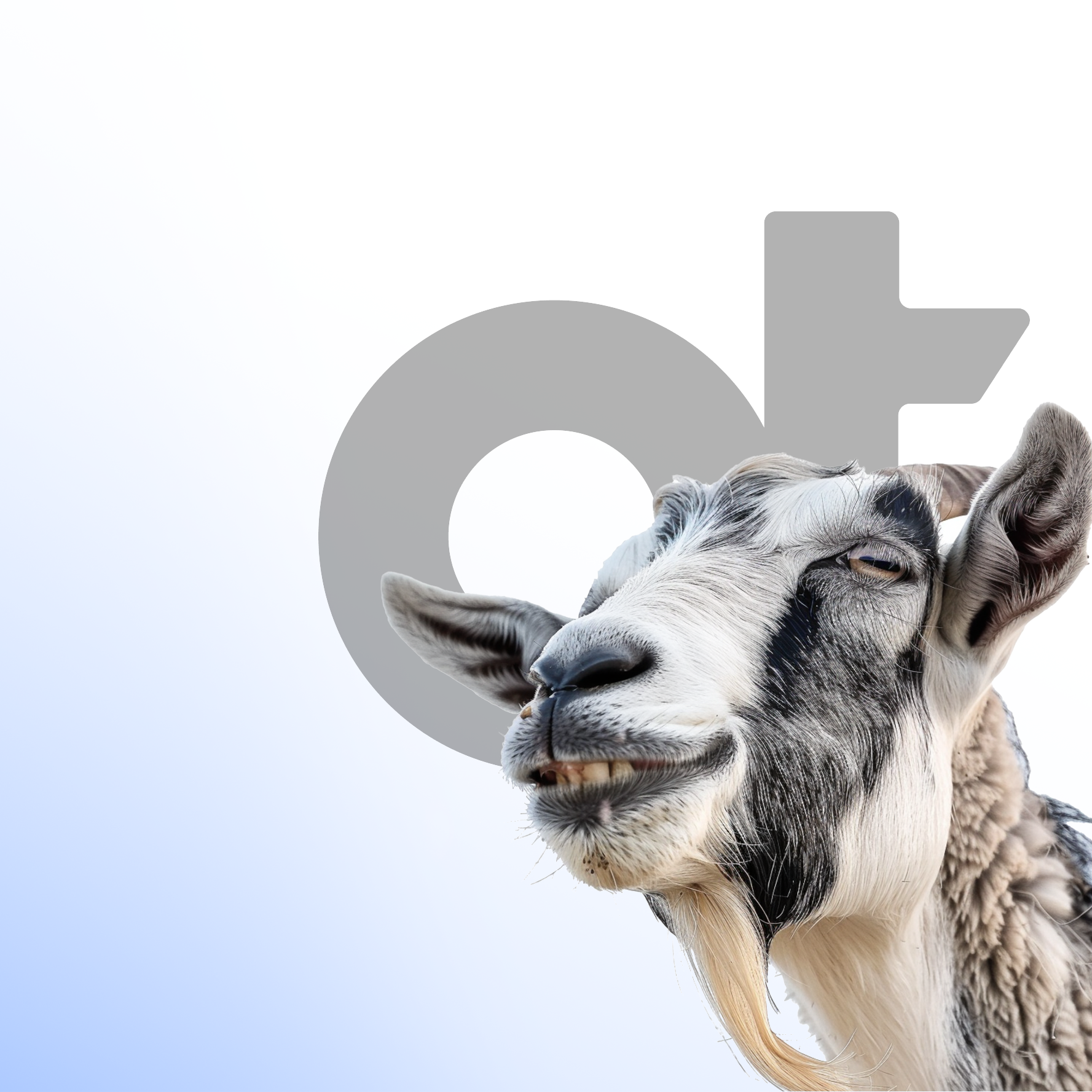 Digital experience management and digital asset management